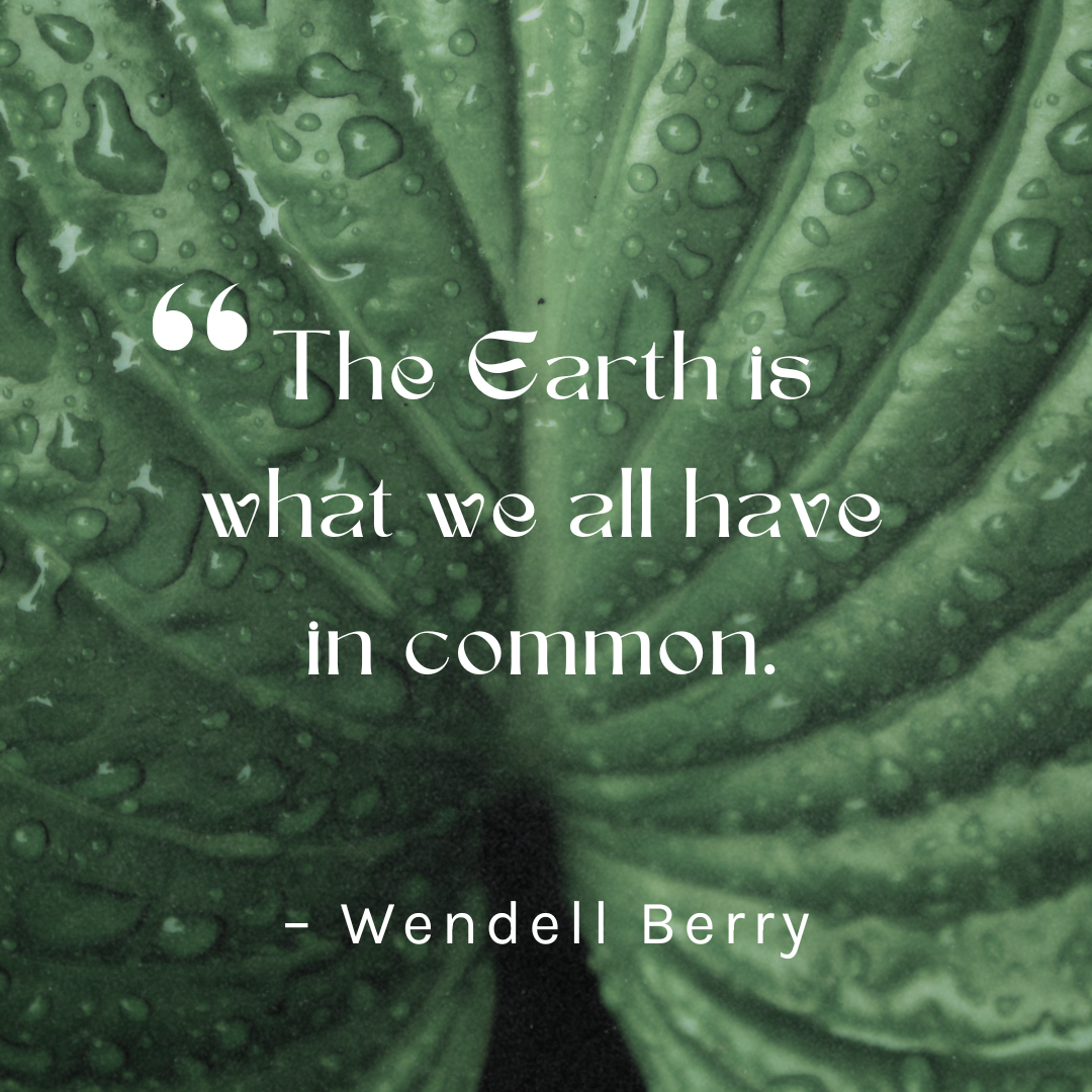 10 Inspiring Nature Quotes About Our Connection to the Earth • Ekotera ...