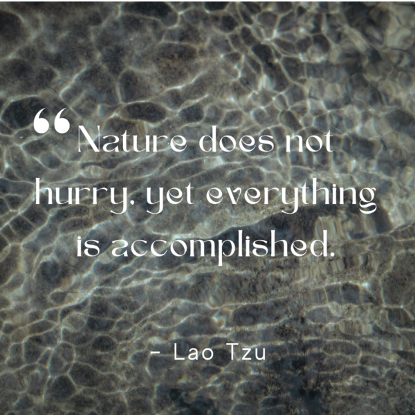 10 Inspiring Nature Quotes About Our Connection to the Earth • Ekotera ...